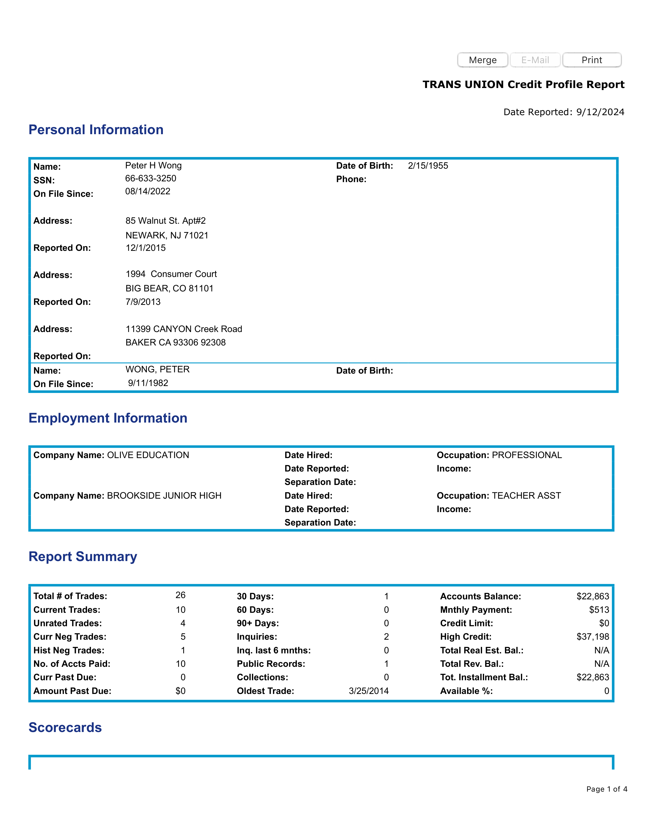 Example Report | Soft Pull Solutions